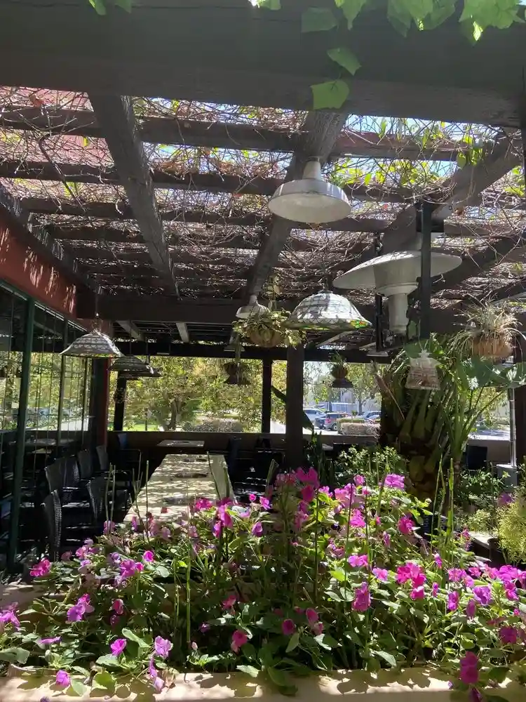 HalalStreet Hot Pot & Xinjiang Cuisine 新疆菜 良湯火鍋 - Best Food Today